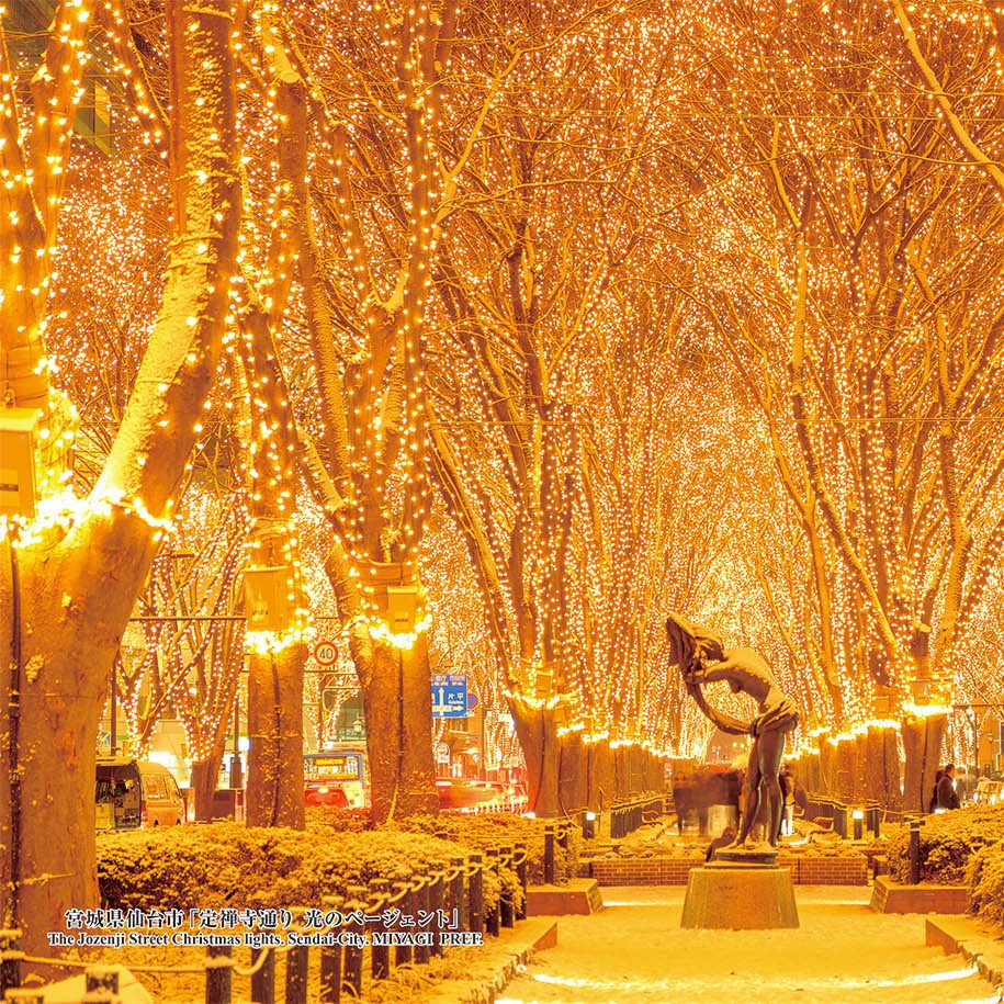Jigsaw Puzzle 300-385 Miyagi Prefecture Jyozenji Street Light Pageant ...