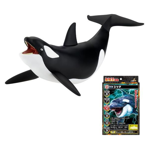 Encyclopedia Strongest King Battle Soft Vinyl Killer Whale moehime ...