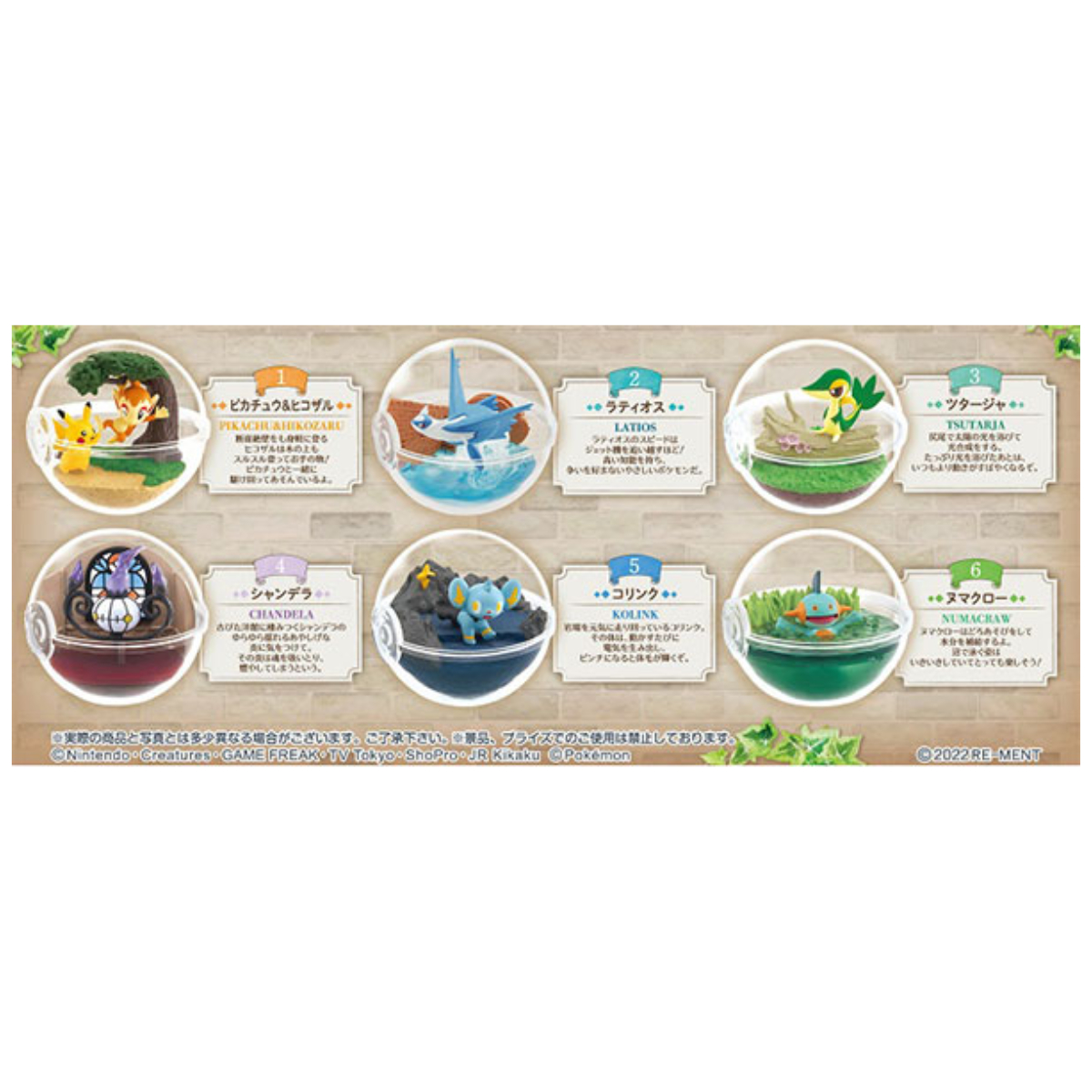 Pokemon Terrarium Collection 12 BOX Reissue - moehime-japantoys