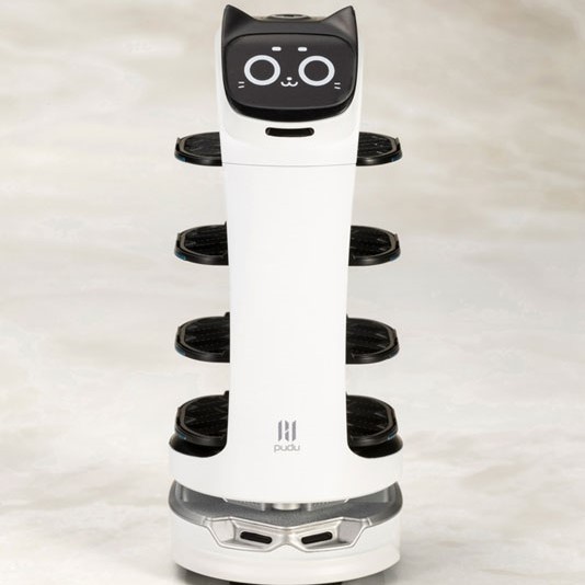 BellaBot Plastic Model moehime-japantoys