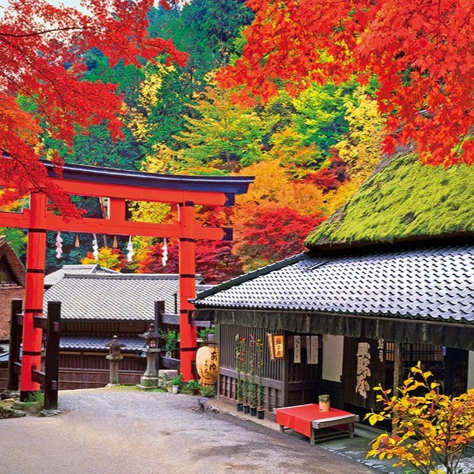 Jigsaw Puzzle 300-108 Autumn-colored Kyoto teahouse 300 Pieces
