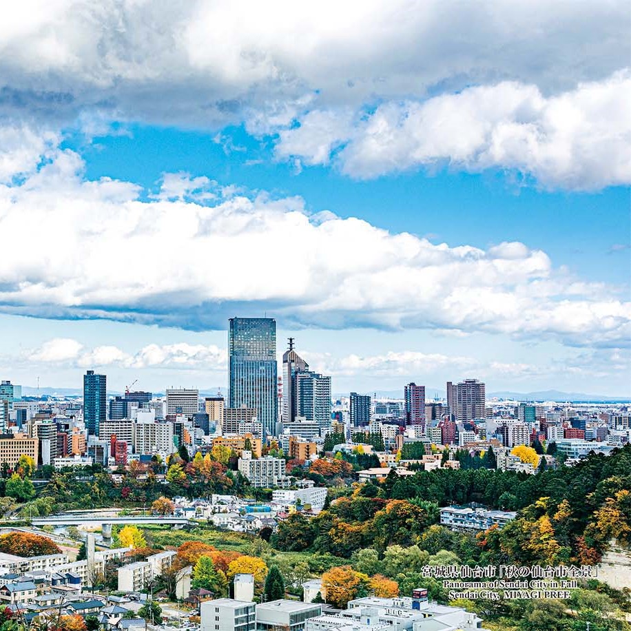 Jigsaw Puzzle 300-411 Sendai City Miyagi Prefecture Autumn Panorama of ...