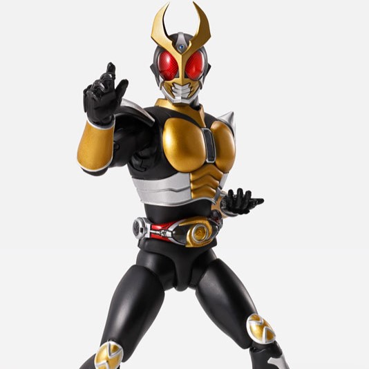 S.H.Figuarts (Shinkocchou Seihou) Kamen Rider Agito Grand Form 25th ...